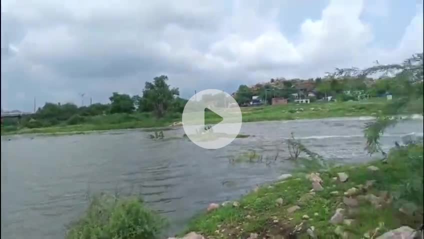 भांडेर: मत्स्य विभाग की टीम ने किया हसापुर डेम का निरीक्षण, मत्स्य आखेट ...