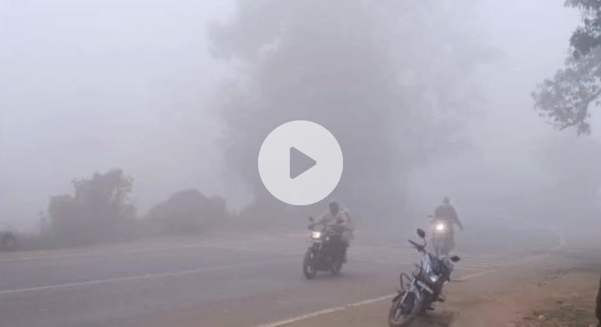 ढीमरखेड़ा: कोहरे का कहर: उमरियापान सहित आसपास के क्षेत्र शीतलहर की चपेट ...