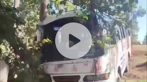 जयसिंहनगर: सूखा नाला के पास गाय को बचाने में बस पेड़ से टकराई, ड्राइवर ...