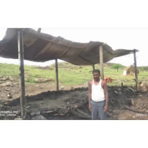 Sangole, Solapur : सांगोला: सांगोला तालुक्यातील डिकसळमध्ये ऊस तोड ...