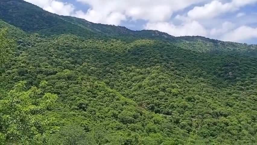 Thalavadi, Erode : தாளவாடி: குன்றி ஊராட்சியில் நடைபெற்ற கிராம சபைக் ...