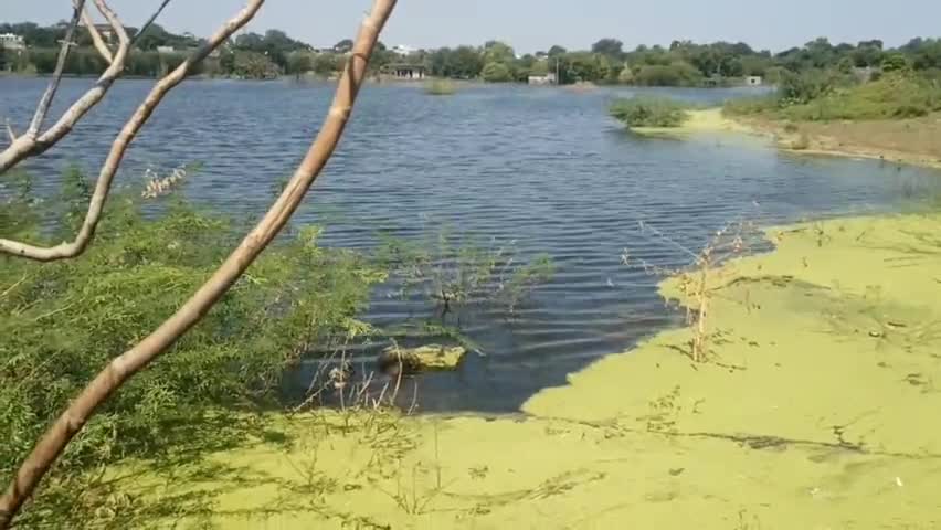 Nainwa, Bundi : नैनवां: नैनवां राय सागर तालाब में मिला अज्ञात व्यक्ति ...