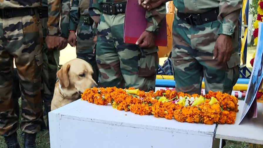 india-military-dog-zoom-funeral