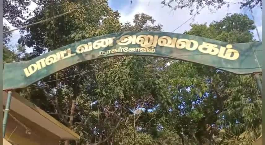 Agastheeswaram, Kanniyakumari : அகஸ்தீஸ்வரம்: காட்டாற்று வெள்ளத்தில் ...