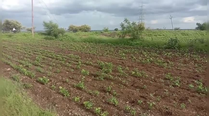 Sangole, Solapur : सांगोला: महूद बुद्रुक येथे शिवीगाळ केल्याचा जाब ...