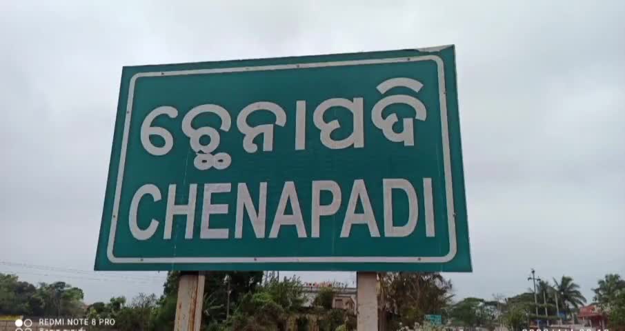 Nandipada, Kendujhar : ନନ୍ଦିପଦା: ଛେନାପଦି ପେଟ୍ରୋଲ ପମ୍ପ ନିକଟରେ ବିଲରେ ...