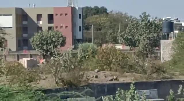 Jasdan, Rajkot : જસદણ: સાણથલી ગ્રુપ સુધારણા પાણી પુરવઠા યોજના અપડેટ ...