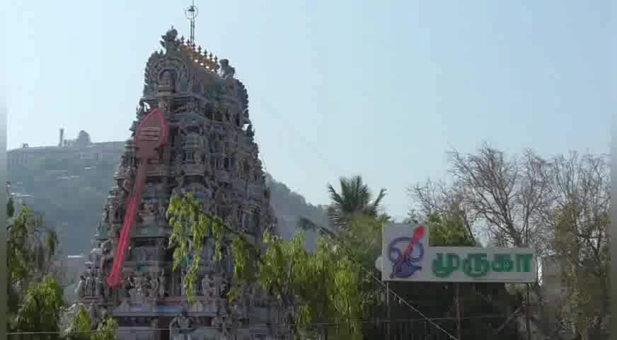 Palani, Dindigul : பழனி: பழனி முருகன் கோவிலில் மொட்டை அடிக்க பக்தரிடம் ...