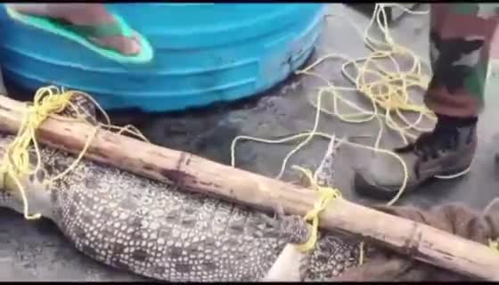 Patharpratima, South Twenty Four Parganas : পাথরপ্রতিমা: পাথরপ্রতিমা ...