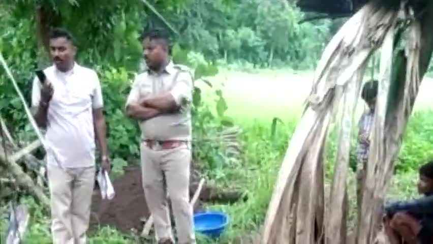 Ghoghamba, Panch Mahals : ઘોઘંબા: વાવની મુવાડીમાં દીપડાએ વાછરડીનું મારણ ...