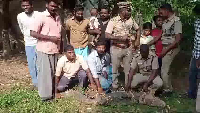 Bhuvanagiri, Cuddalore : புவனகிரி: இளநாங்கூர் கிராமத்தில் வீட்டு ...