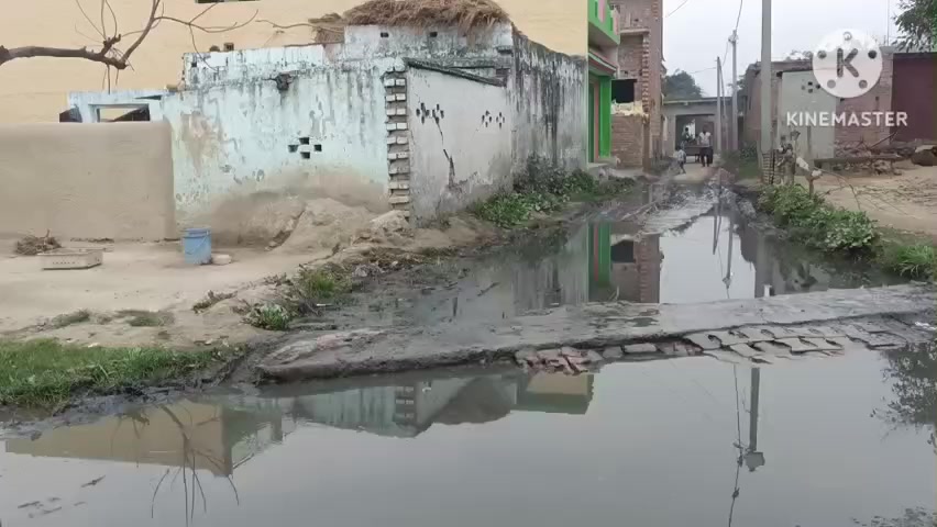 गुन्नौर: गांव बगढेर के घेर के ग्रामीणों को जलभराव गंदगी और कीचड़ भरे ...