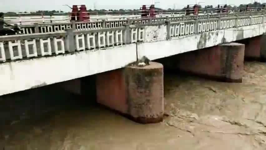 Jainagar, Madhubani : जयनगर: नेपाल के जल अधिग्रहण क्षेत्रों में हो रही ...